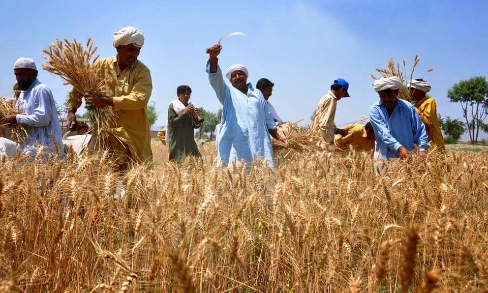 Rural tourism in India - Village Tour of India - Indian Safaris